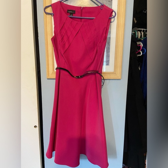 Alyx | Dresses | Pink Fit And Flare Alyx Dress Size 8 Comes With ...